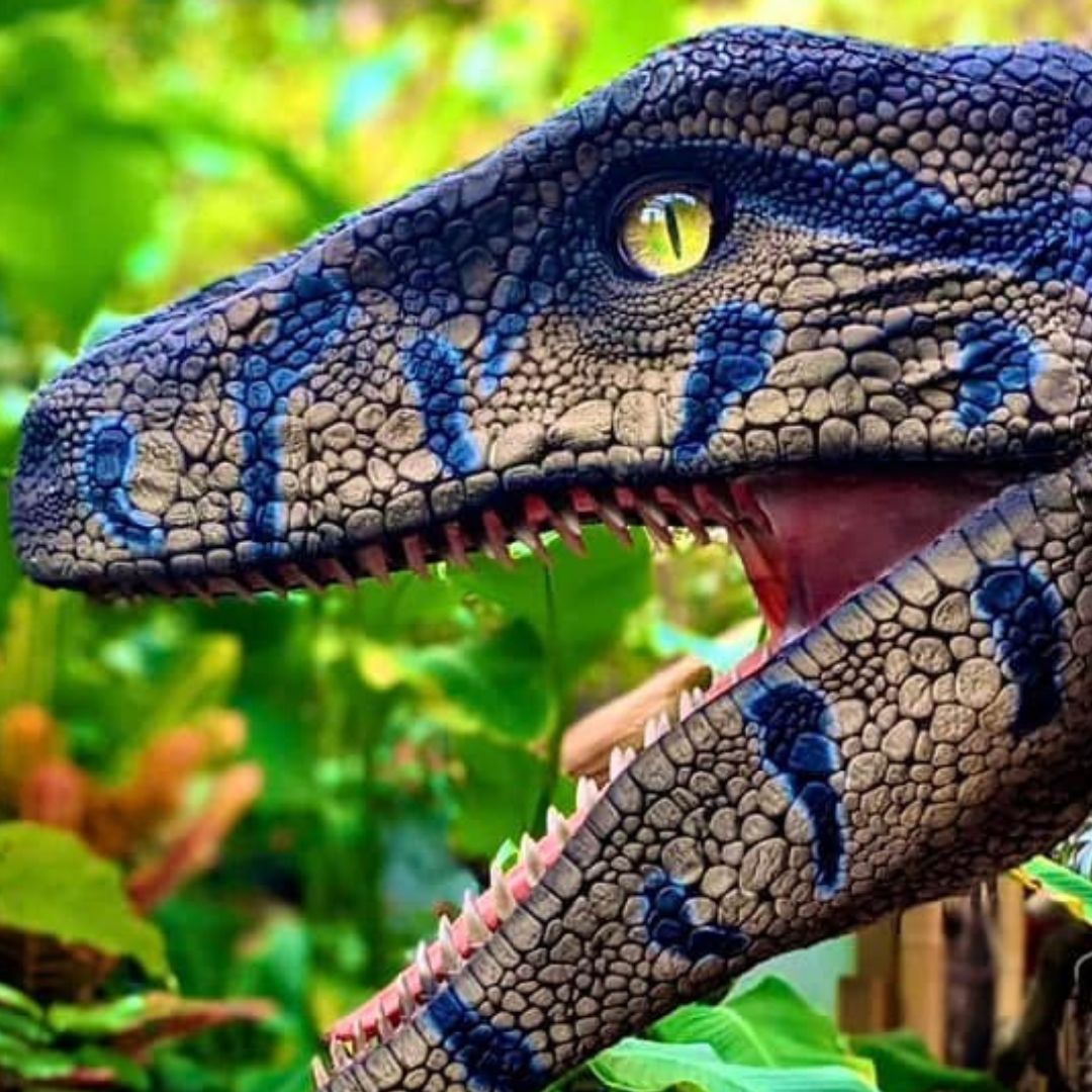 NSF 2026: Dino Duel - A Prehistoric Face-Off